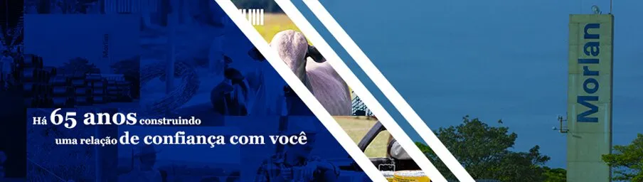 Morlan - Informações sobre a empresa, endereço, contatos e regiões ...